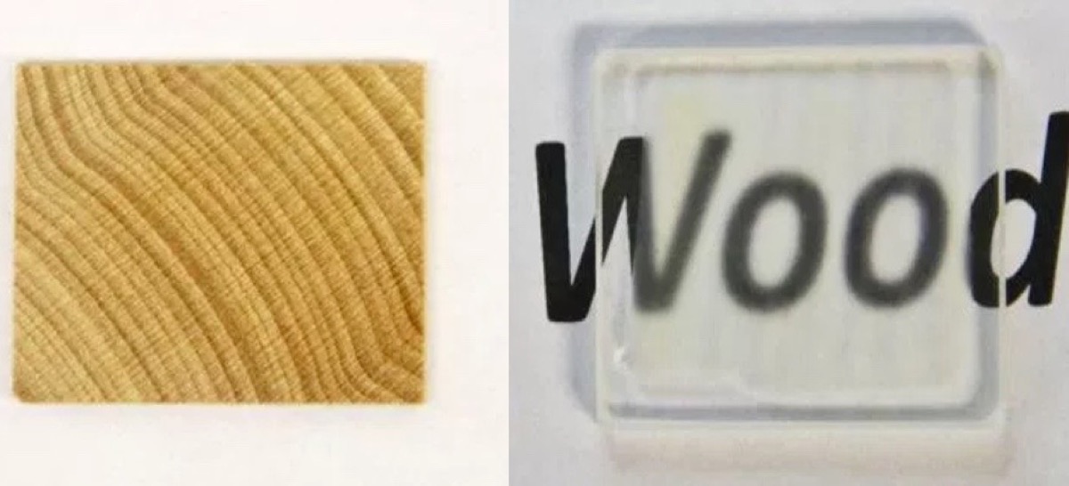 Madera Transparente | Nuevo Material Translúcido y Constructivo